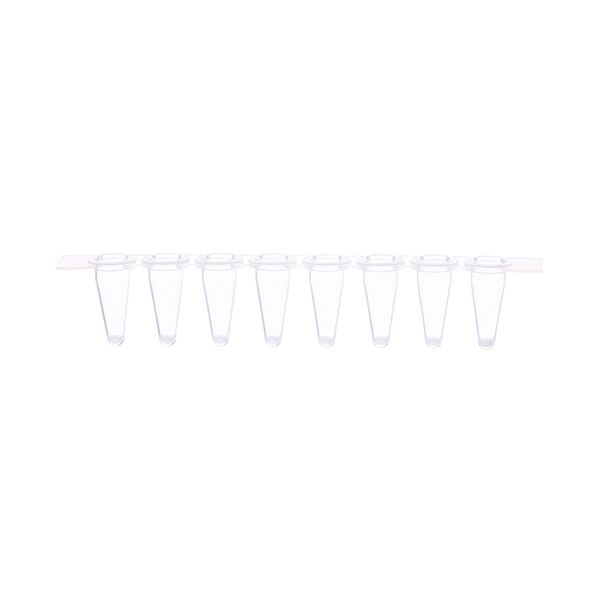 AmpQlear™ PCR 8 Strip Tubes and 8 Strip Caps, PP - Abdos Lifescience
